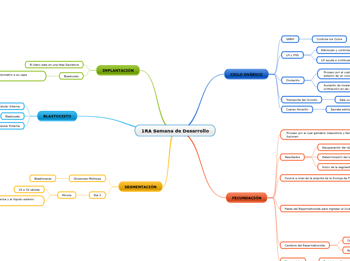 1RA Semana de Desarrollo - Mind Map